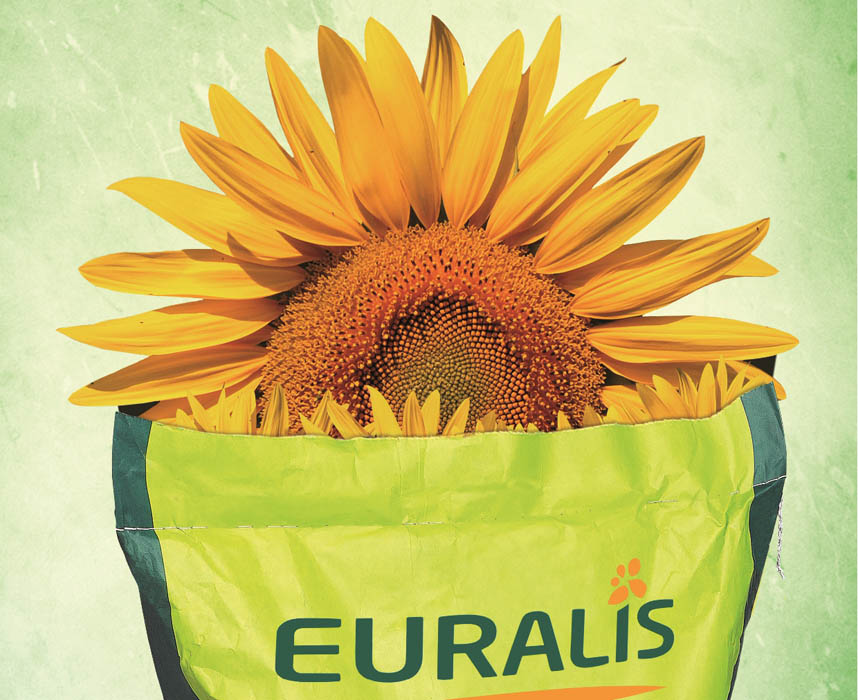 Euralis presenta su nuevo catálogo Multi-Cultivo 2017 - Empresa Agraria