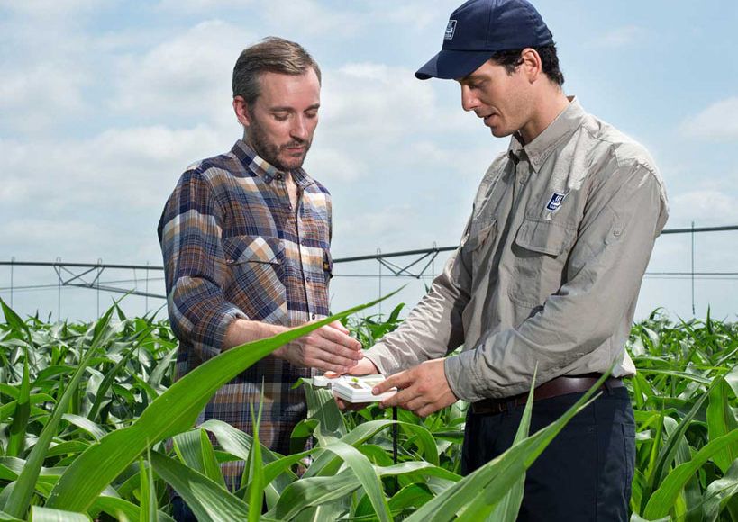 Yara Water Solution, la innovación de Yara para el riego, premiada en ...